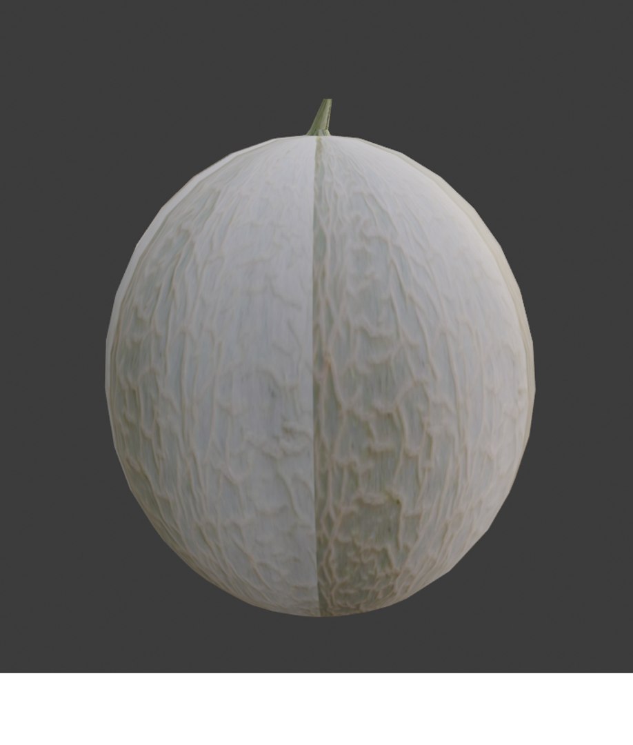 3D Melon Model - TurboSquid 1604504