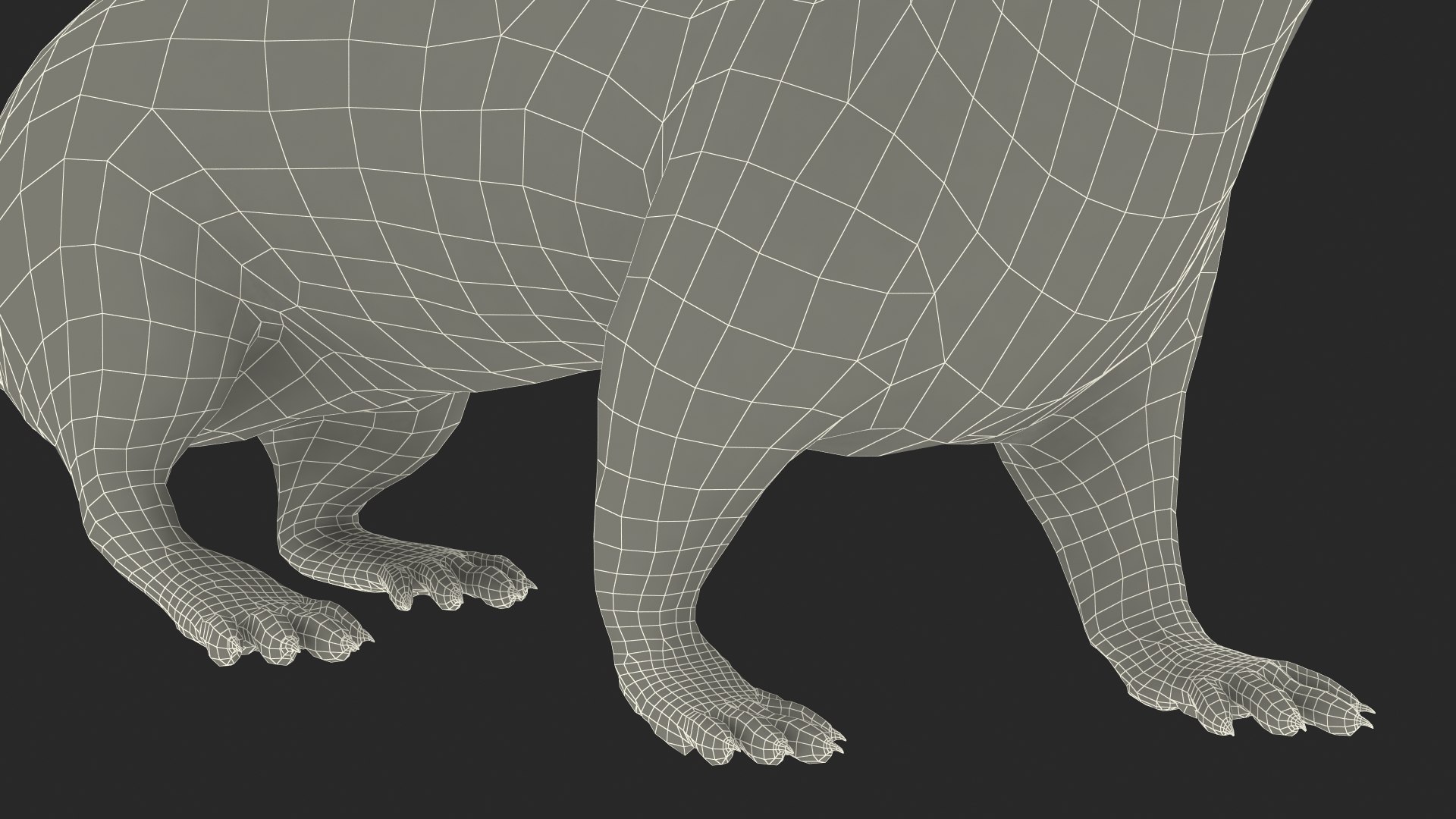 Vormela Peregusna In Walking Pose Fur 3D Model - TurboSquid 2206793