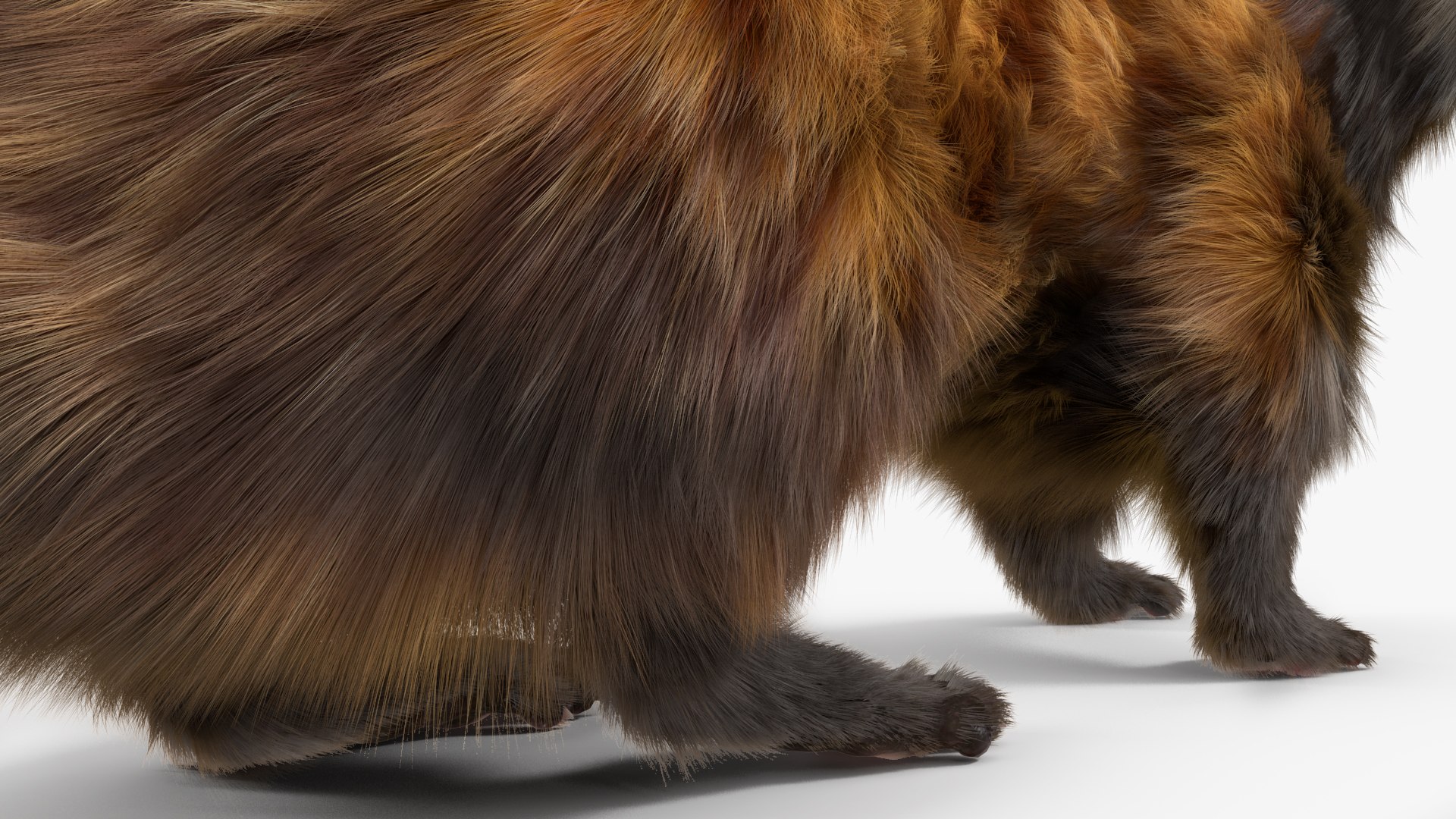 Vormela Peregusna In Walking Pose Fur 3D Model - TurboSquid 2206793