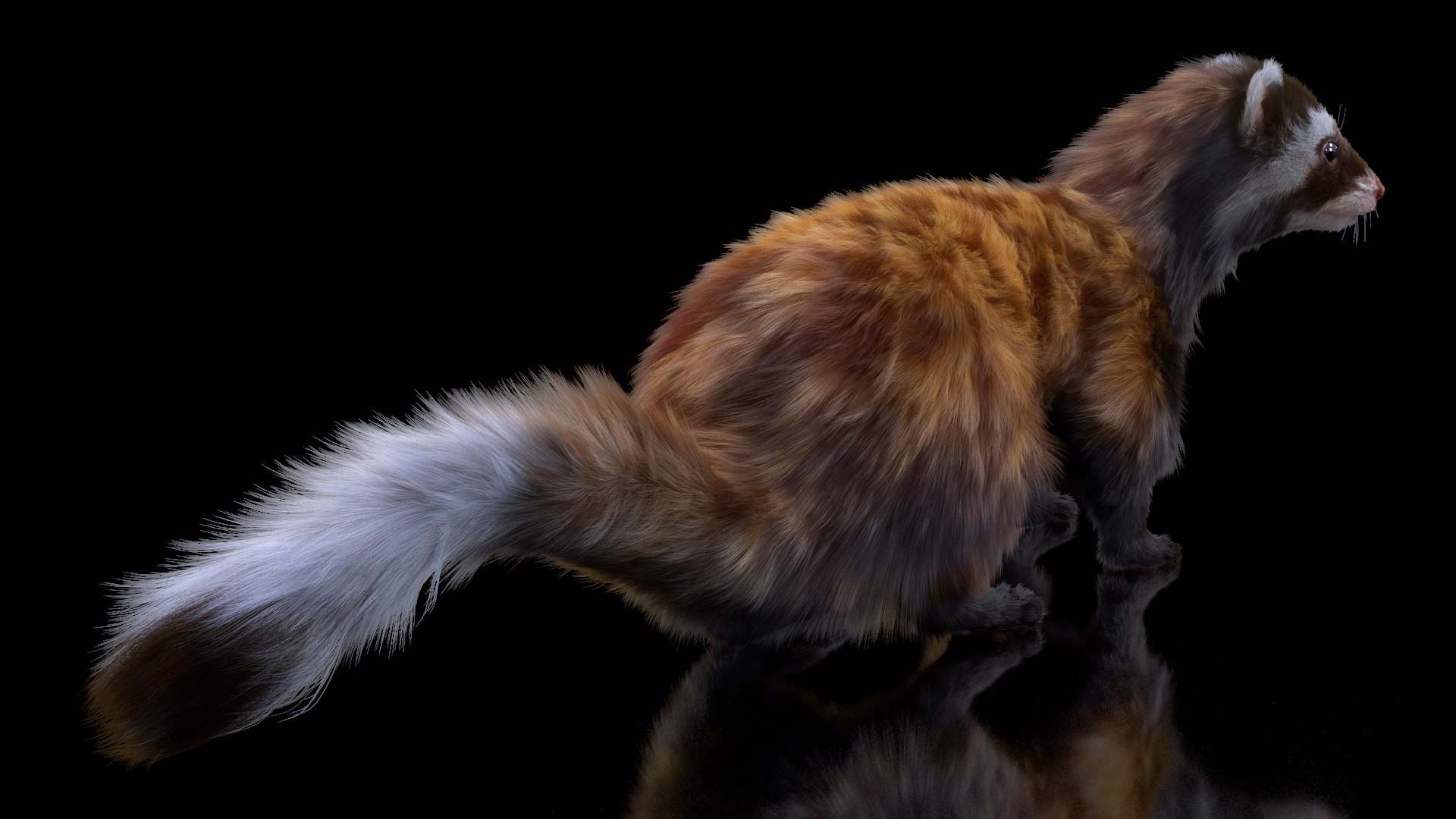 Vormela Peregusna In Walking Pose Fur 3D Model - TurboSquid 2206793