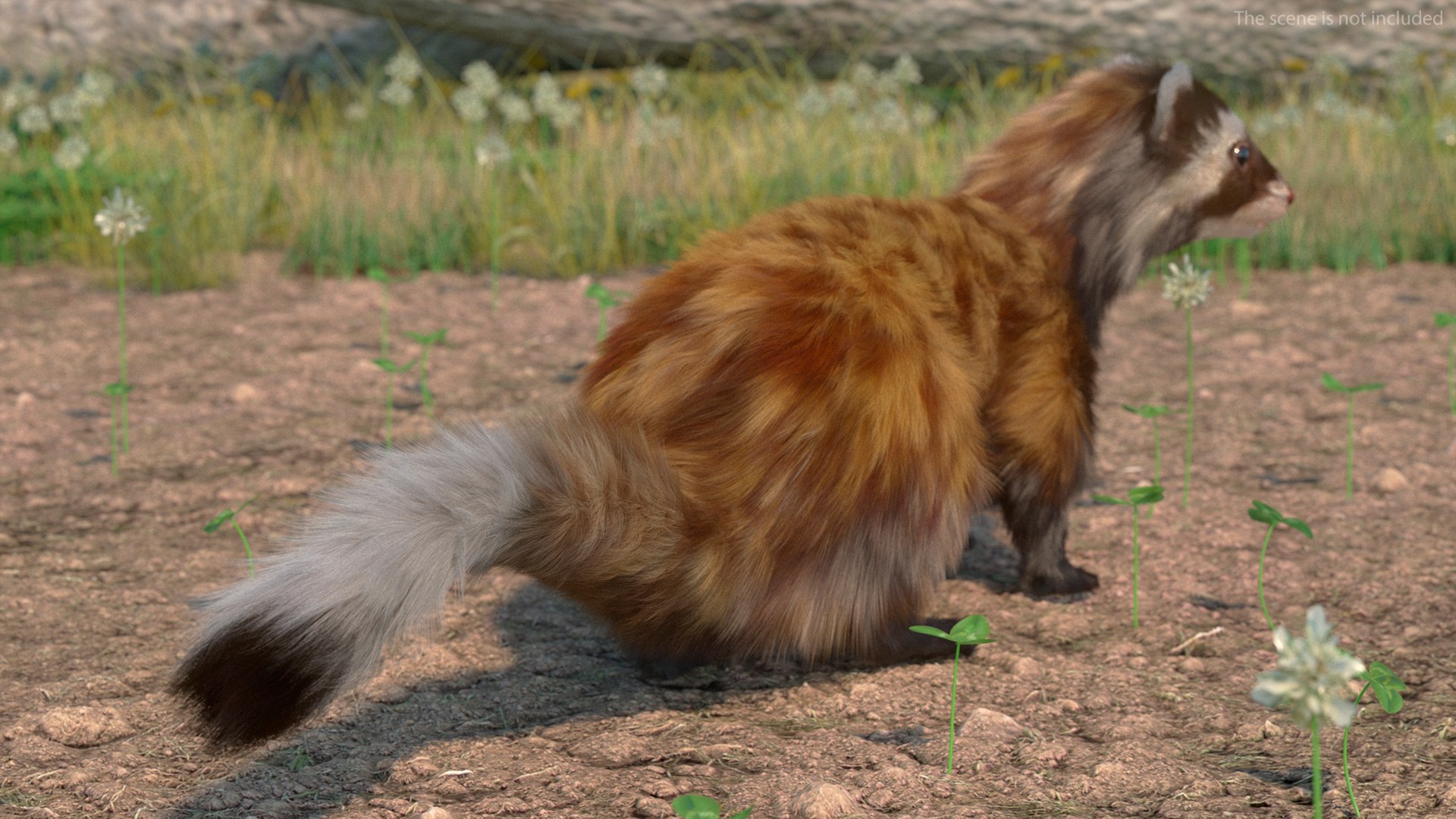 Vormela Peregusna In Walking Pose Fur 3D Model - TurboSquid 2206793