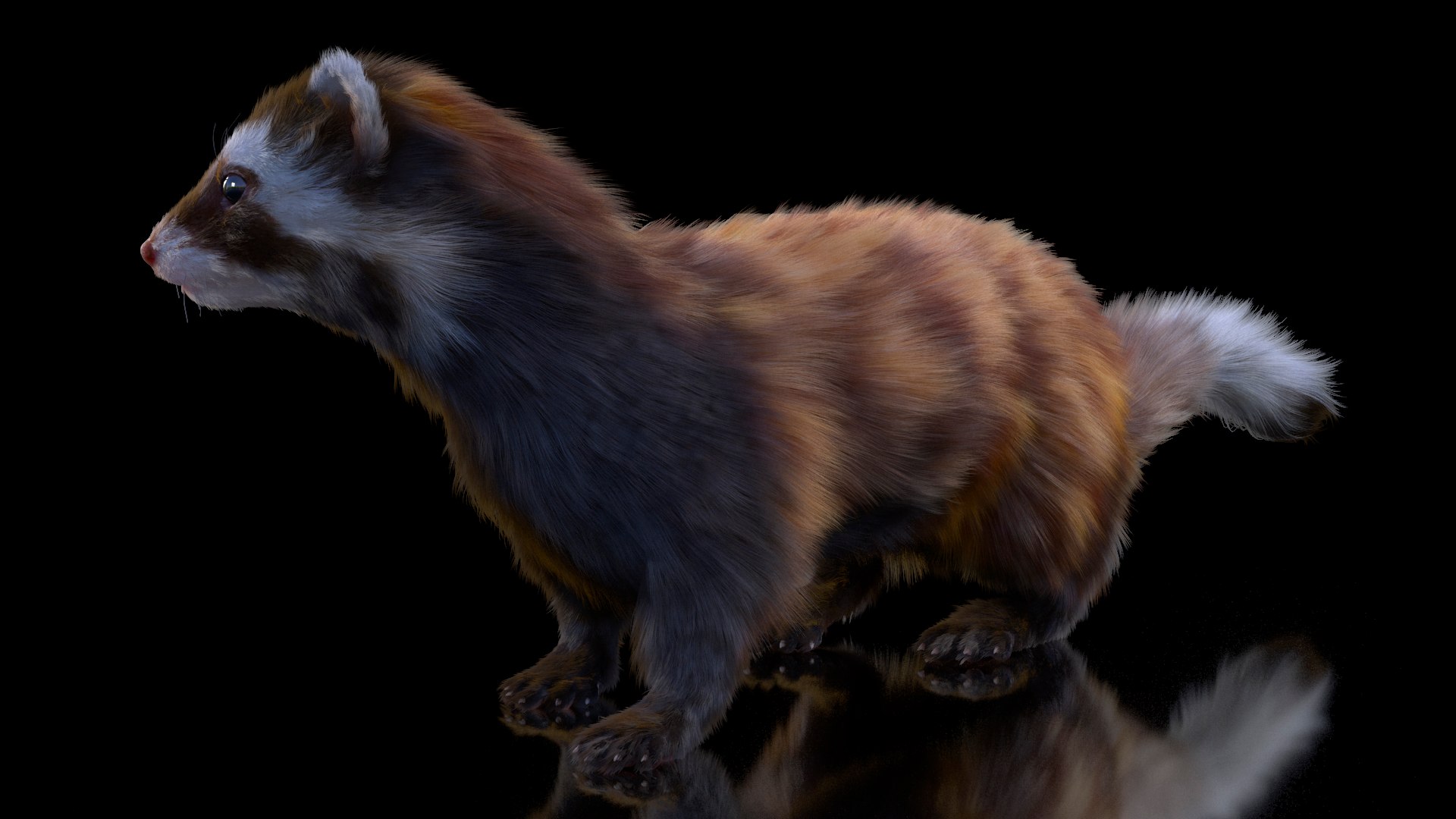 Vormela Peregusna In Walking Pose Fur 3D Model - TurboSquid 2206793