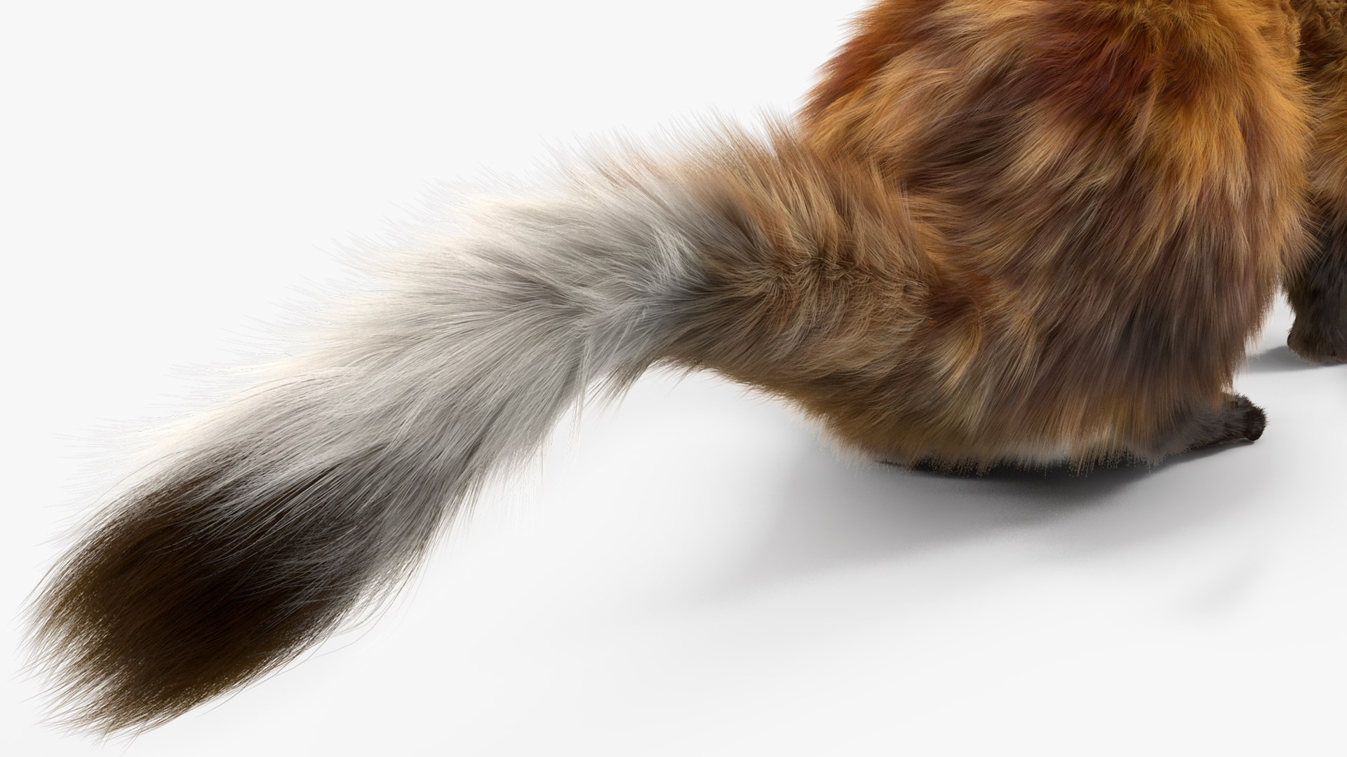 Vormela Peregusna In Walking Pose Fur 3D Model - TurboSquid 2206793