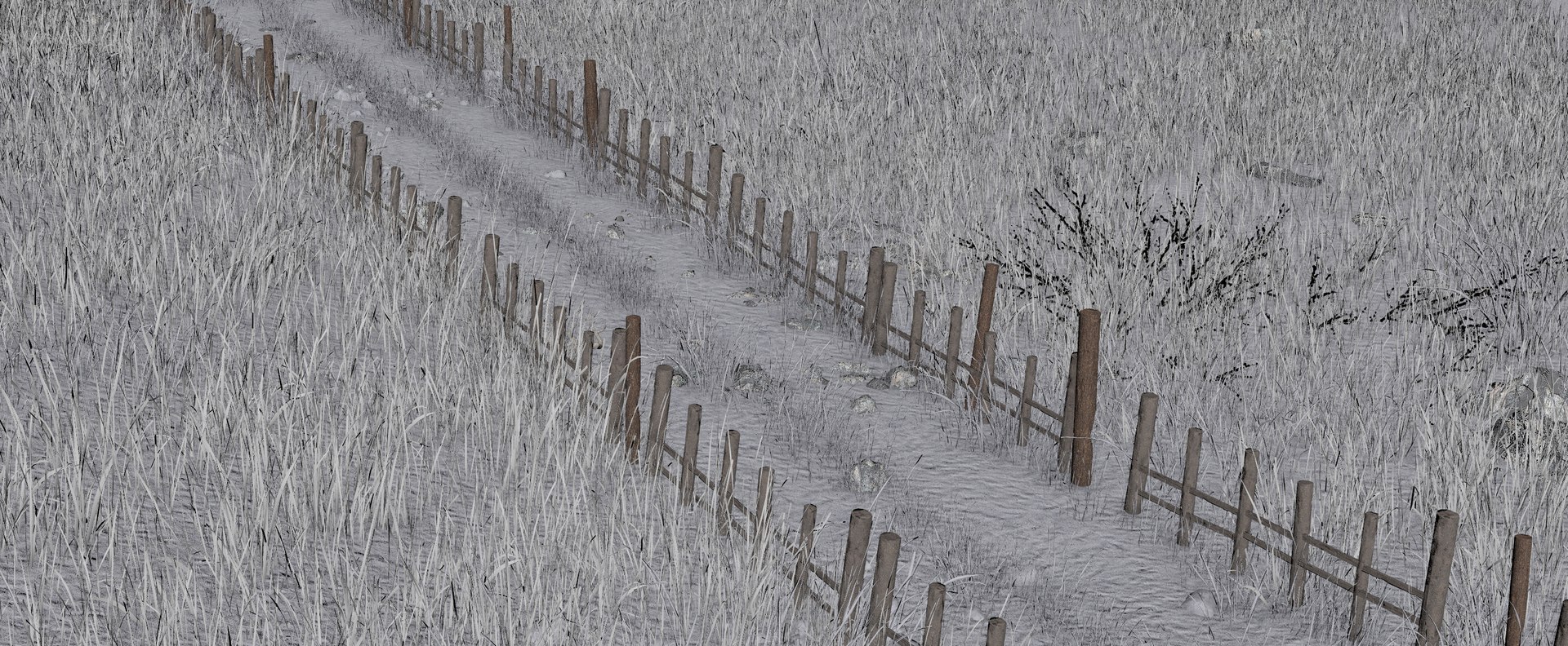 Winter Snow Path Tree 3D Model - TurboSquid 1956571