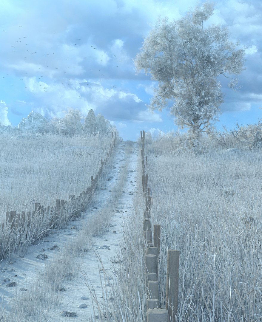 Winter Snow Path Tree 3D Model - TurboSquid 1956571