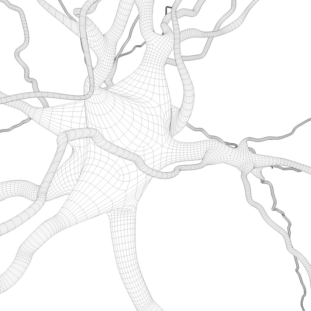 Dendrite Neuron Cell 3D Model - TurboSquid 1286677