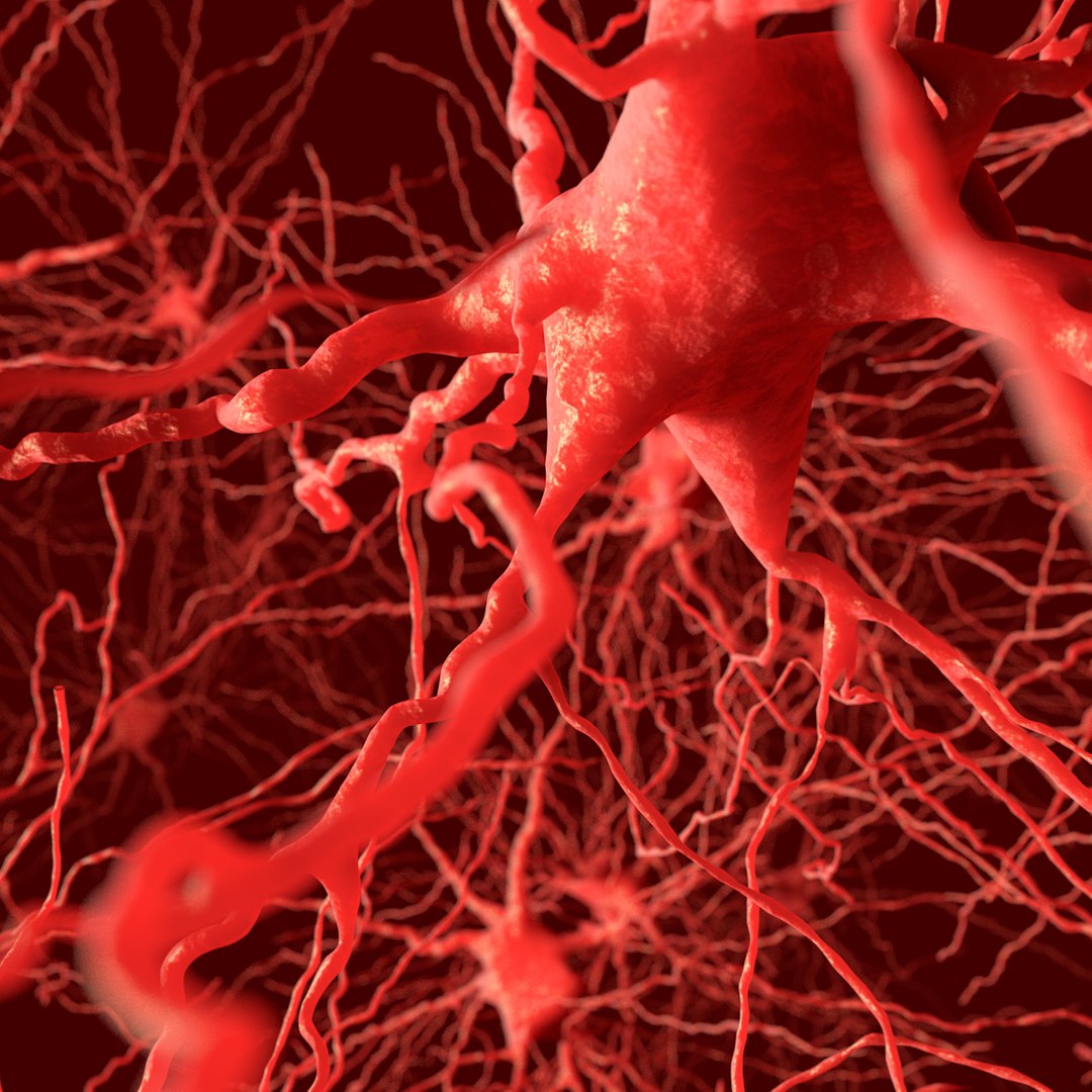 Dendrite Neuron Cell 3D Model - TurboSquid 1286677