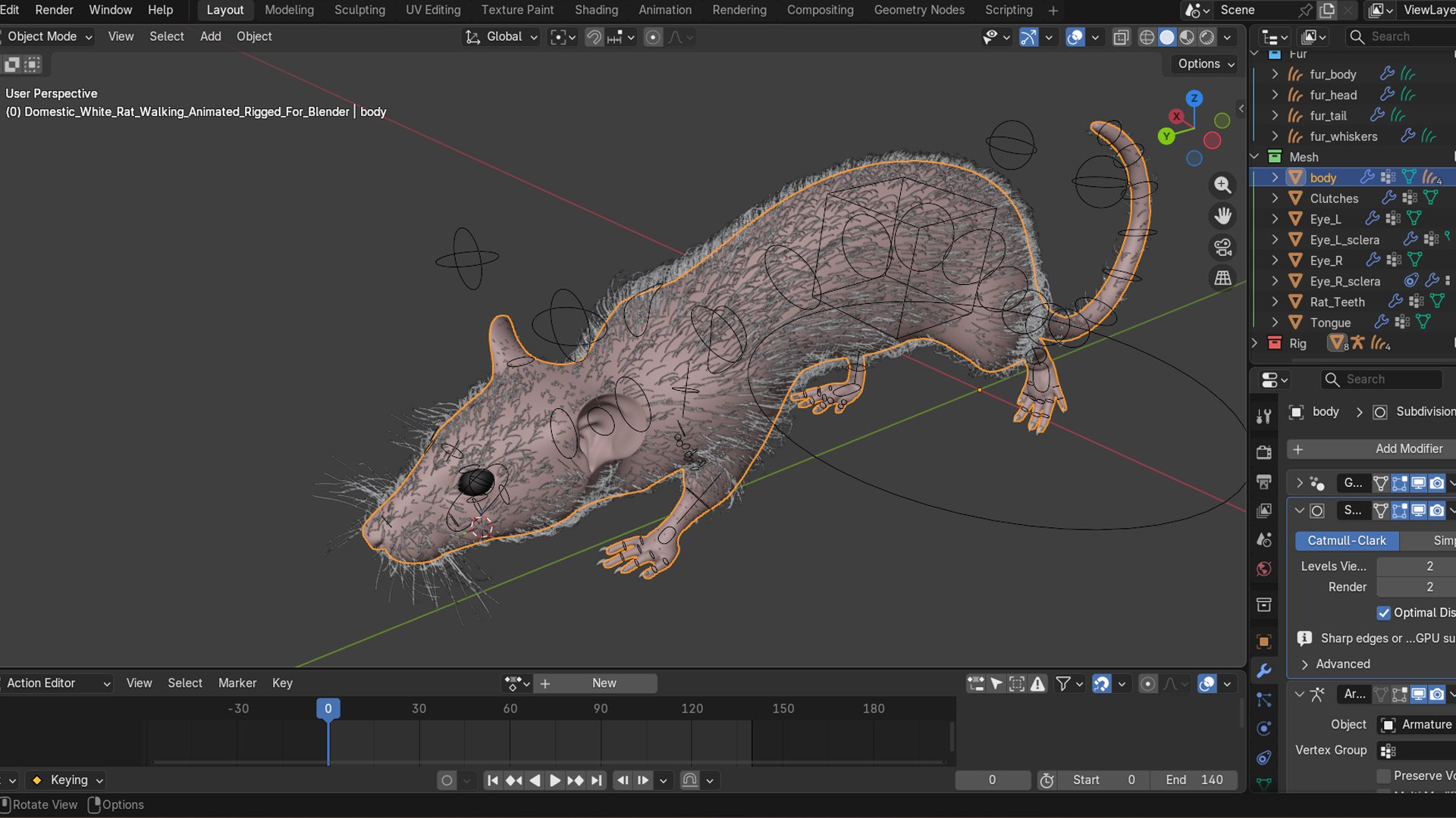 Domestic White Rat Walking Animated Rigged For Blender 3D Model ...