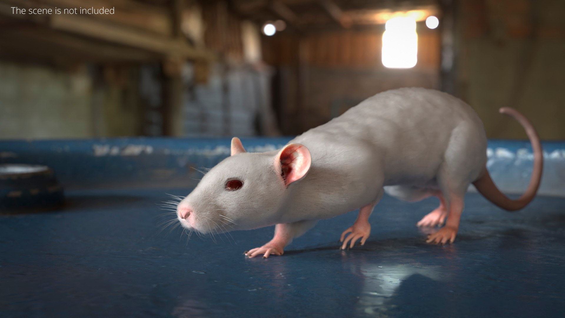 Domestic White Rat Walking Animated Rigged For Blender 3D Model ...