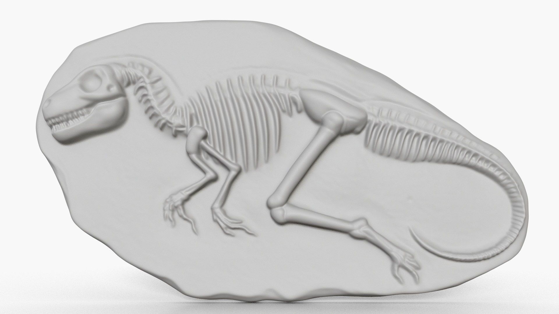 Dinosaur Fossil 002 3D Model - TurboSquid 2298325