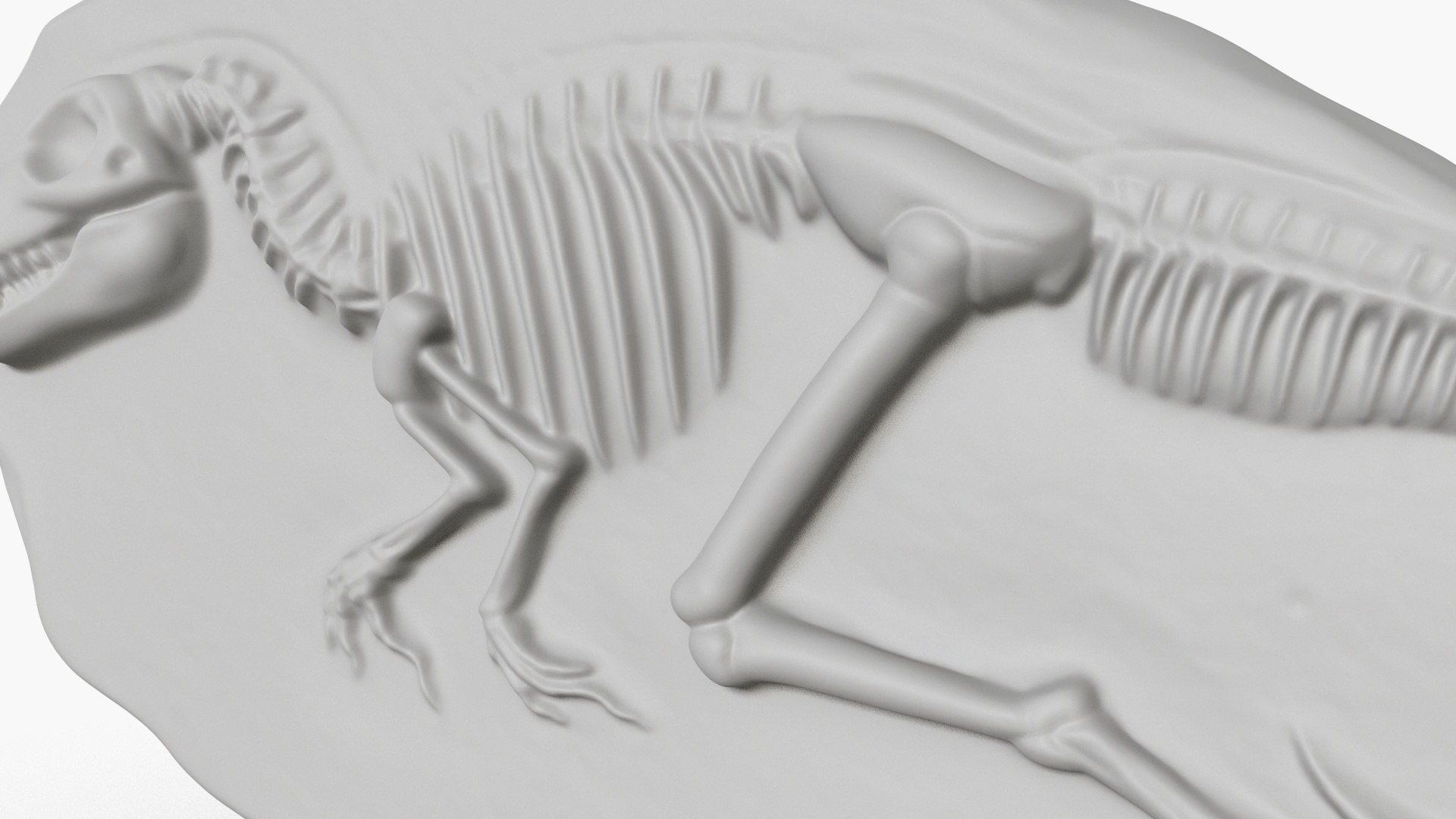 Dinosaur Fossil 002 3D Model - TurboSquid 2298325