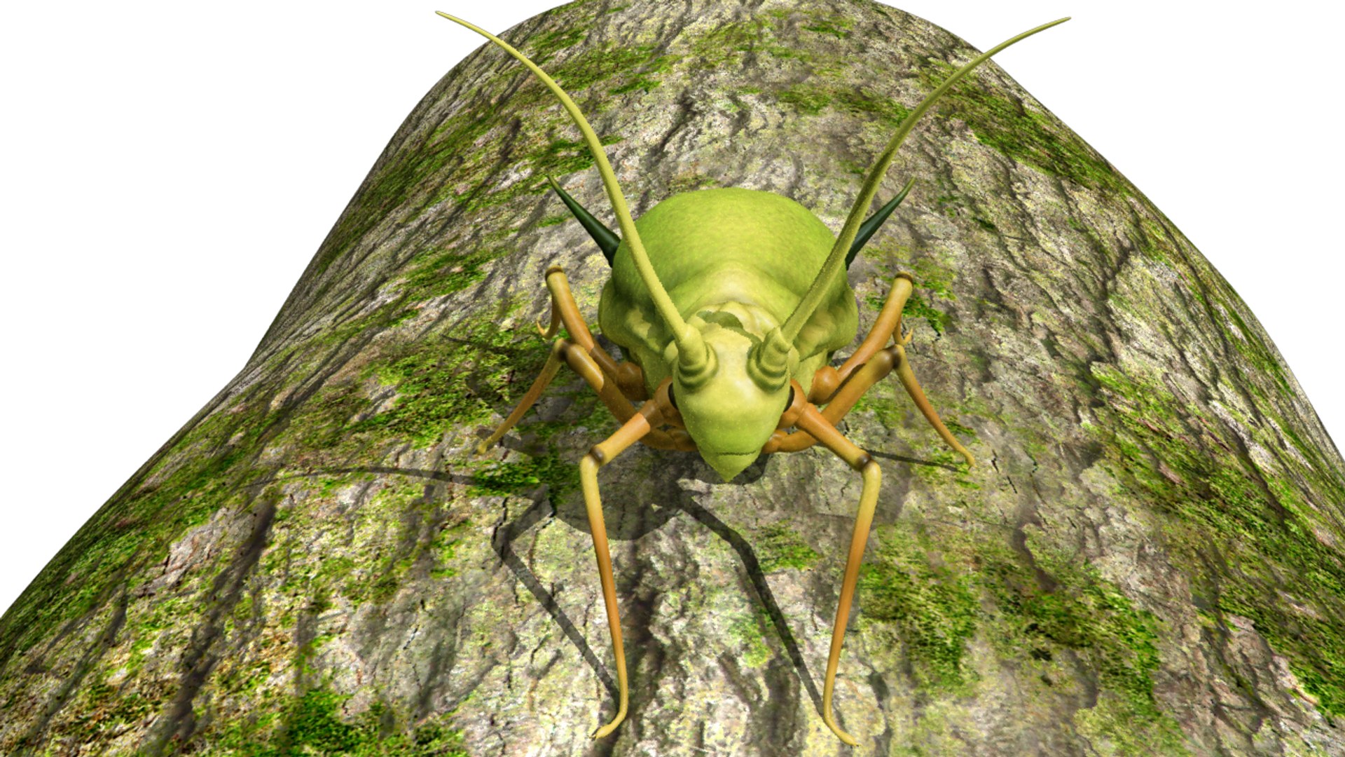 Aphids Plant Greenflies 3d Obj