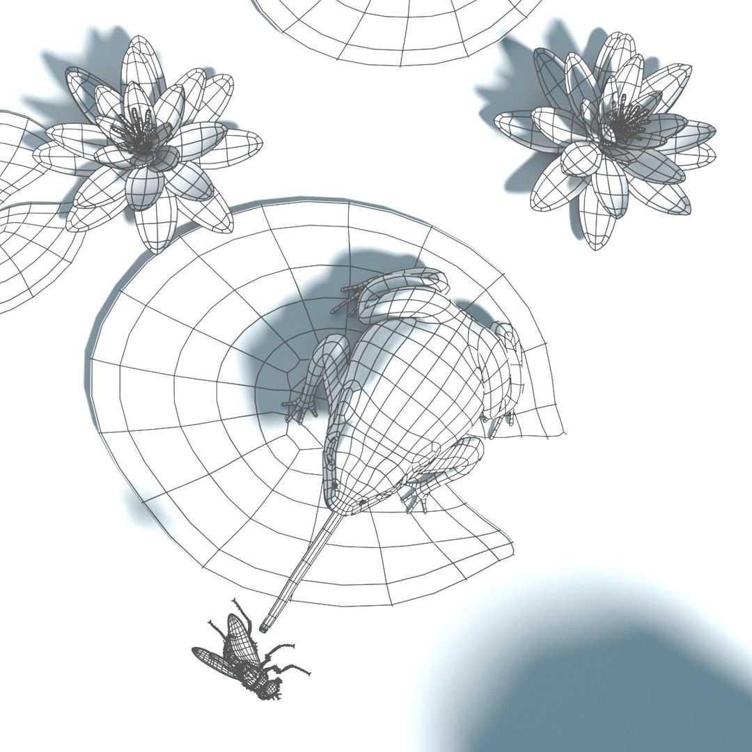 Toad Catching Fly 3d 3ds