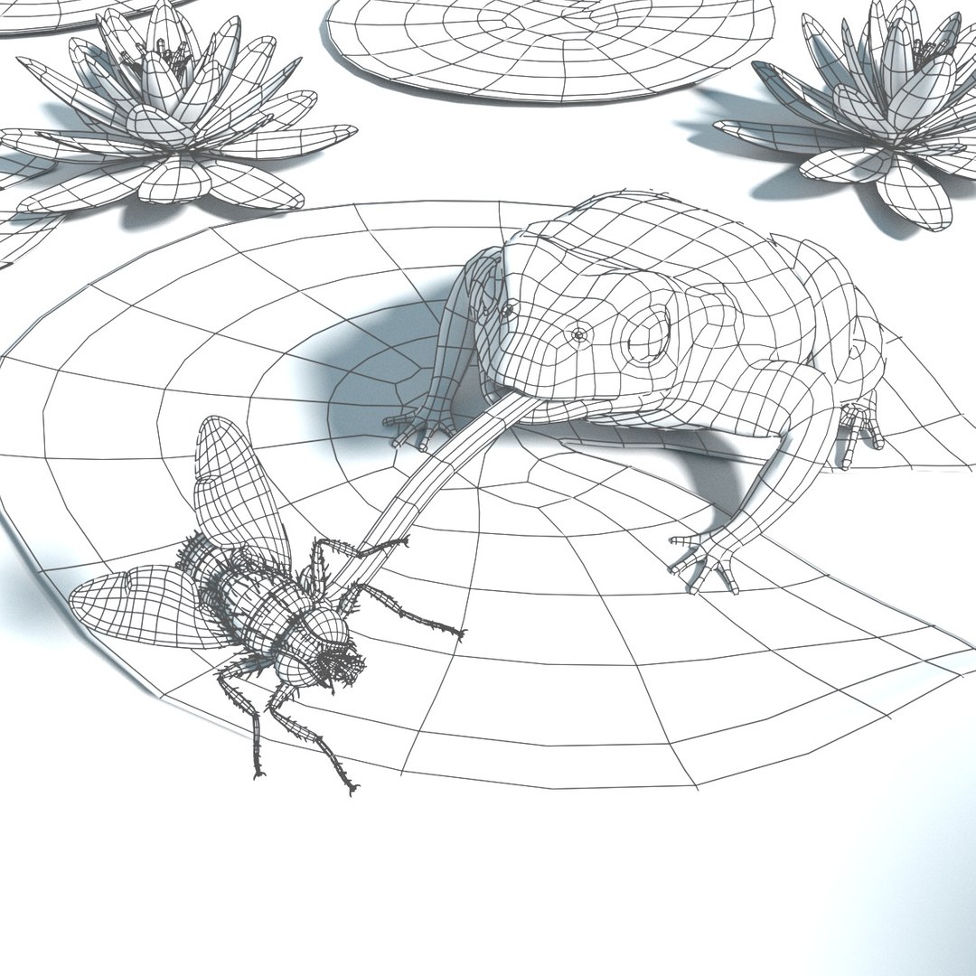 Toad Catching Fly 3d 3ds