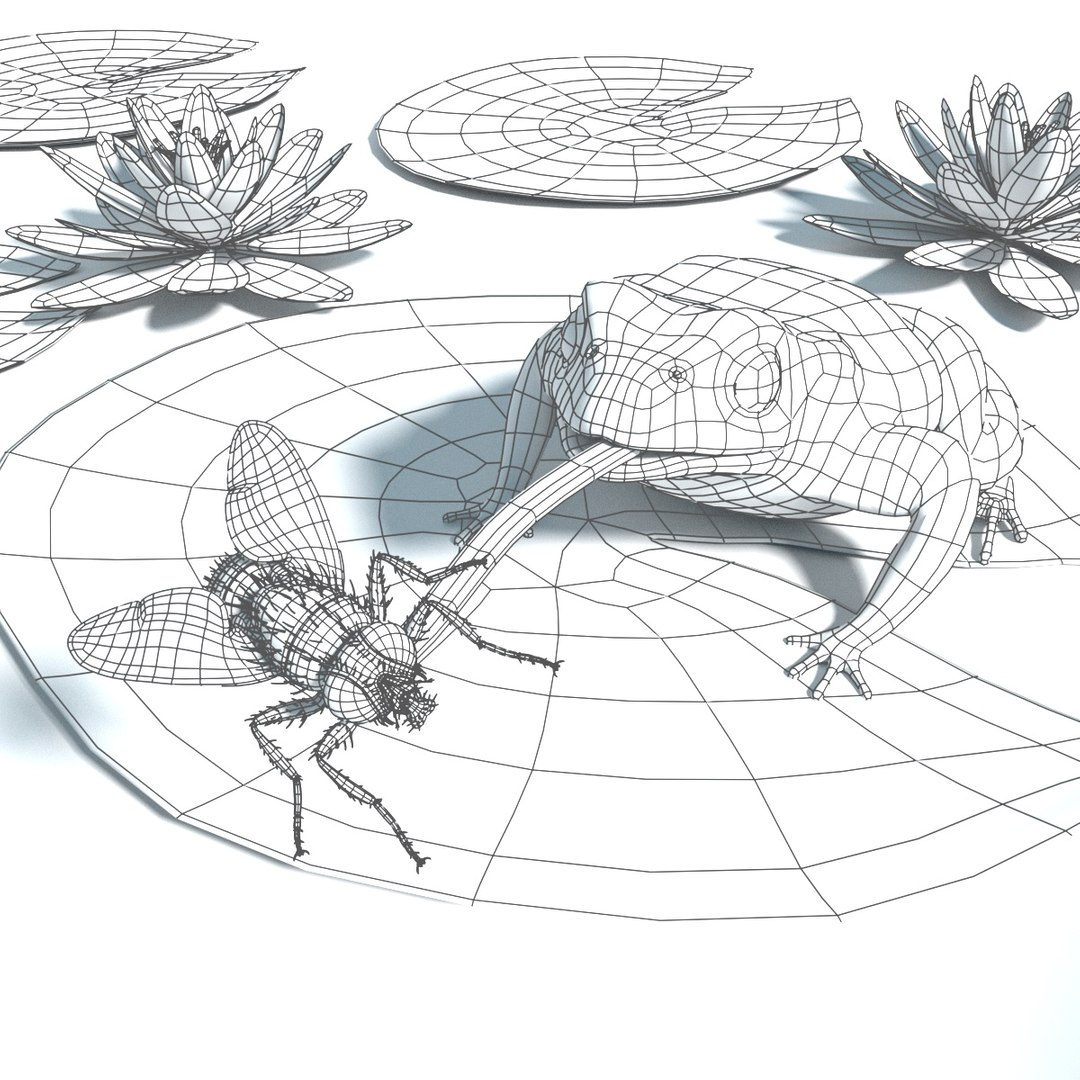 Toad Catching Fly 3d 3ds