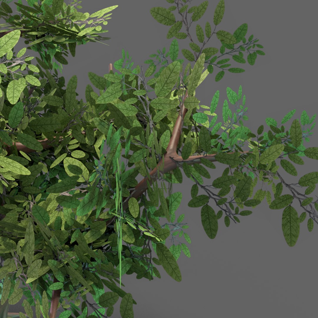 Tree Model - TurboSquid 1408332