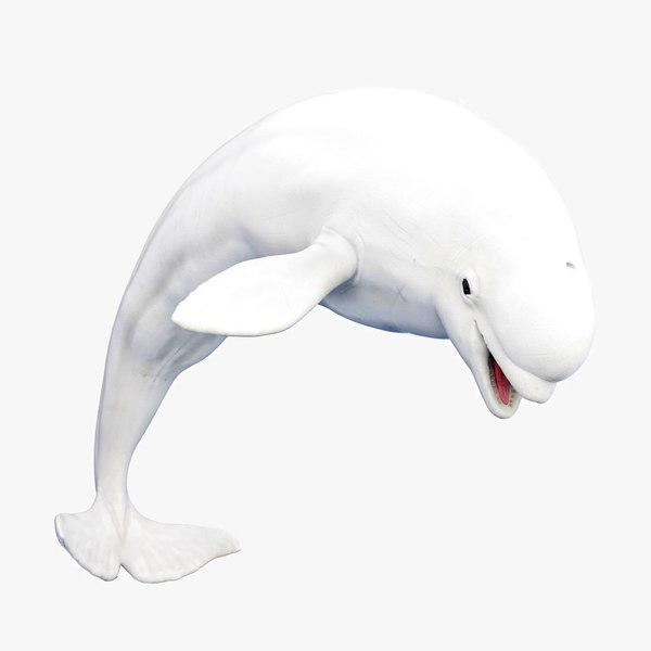 modelo 3d Ballena Beluga animada - TurboSquid 2148768