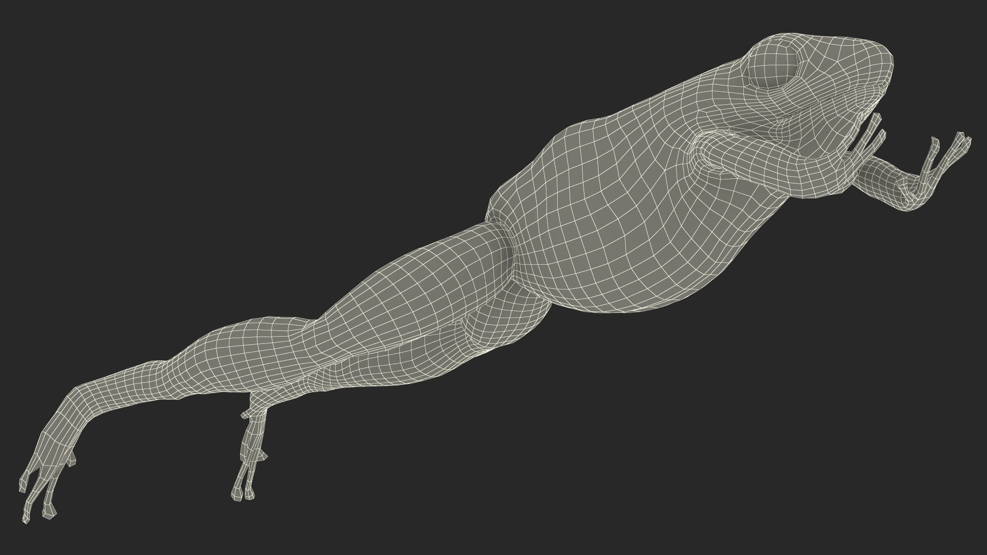 Phyllobates Terribilis Yellow Jumping Pose Model - TurboSquid 2189753