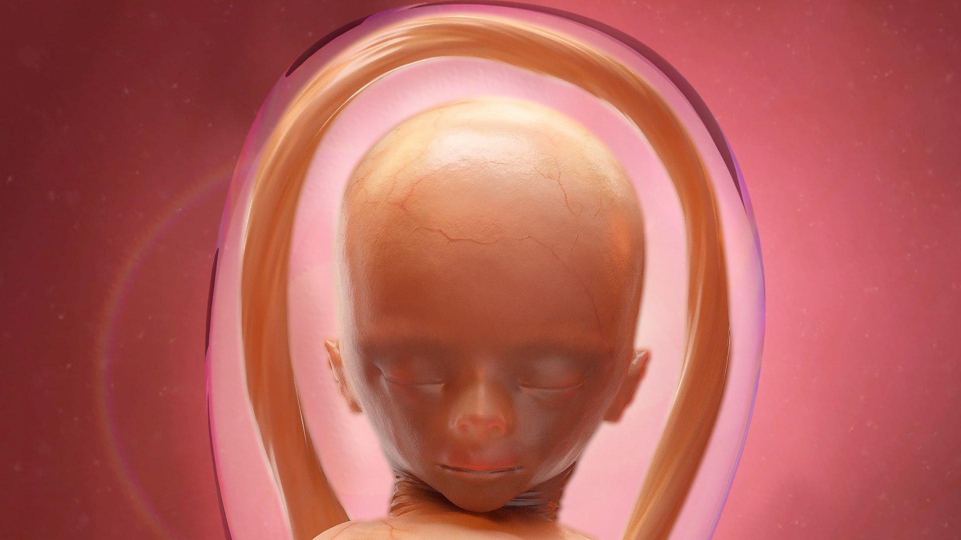 3D human fetus 16 weeks - TurboSquid 1665170