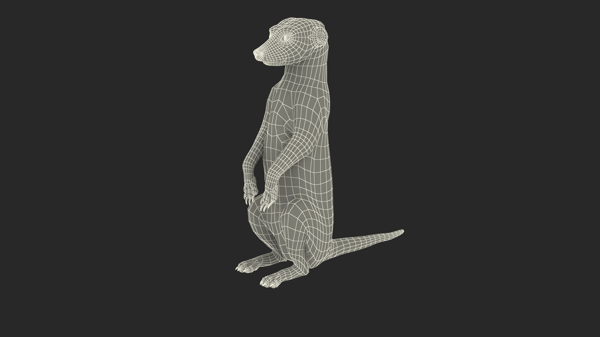 Meerkat Sitting Pose Fur 3D - TurboSquid 1919102