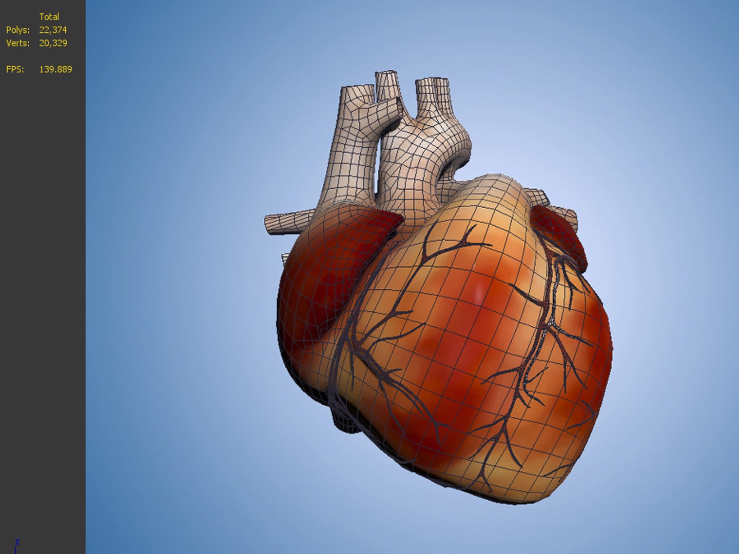3D human organs medical profiles model - TurboSquid 1576385