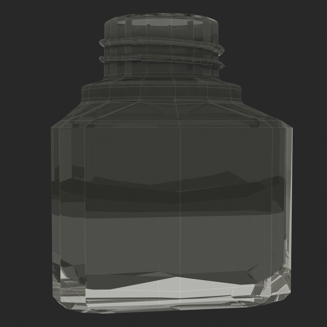Ink Bottle 3ds