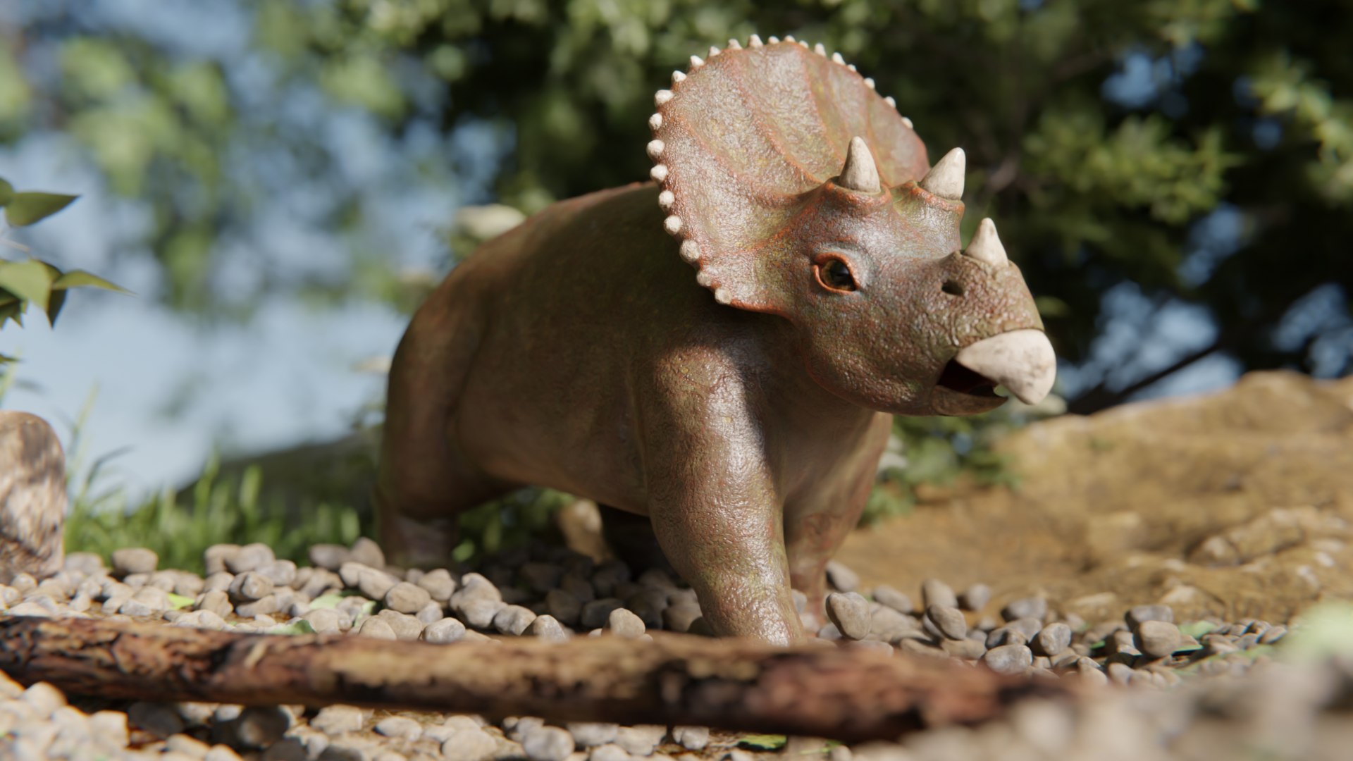 3D Baby Triceratops Model - TurboSquid 1951180