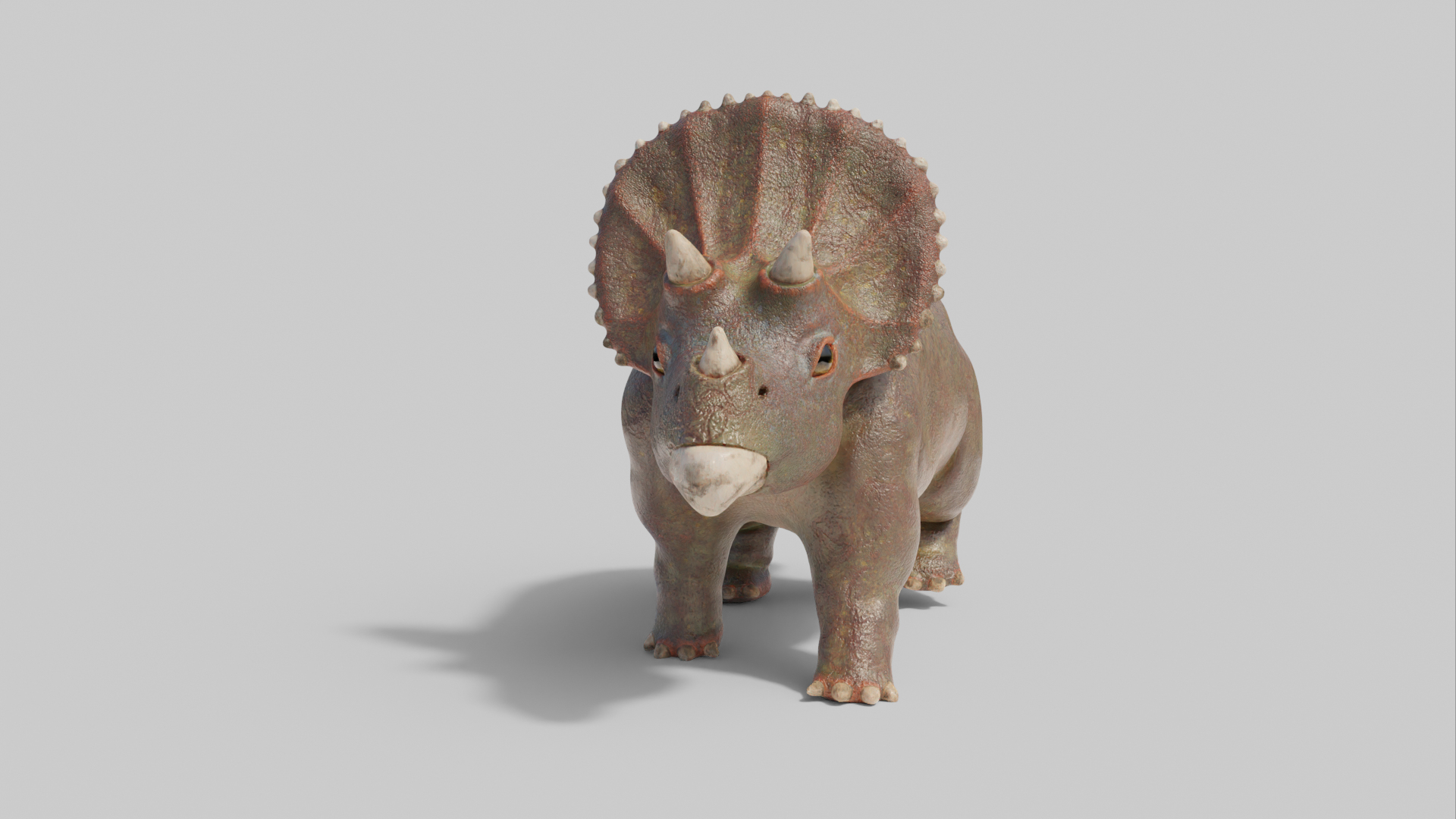 3D Baby Triceratops Model - TurboSquid 1951180
