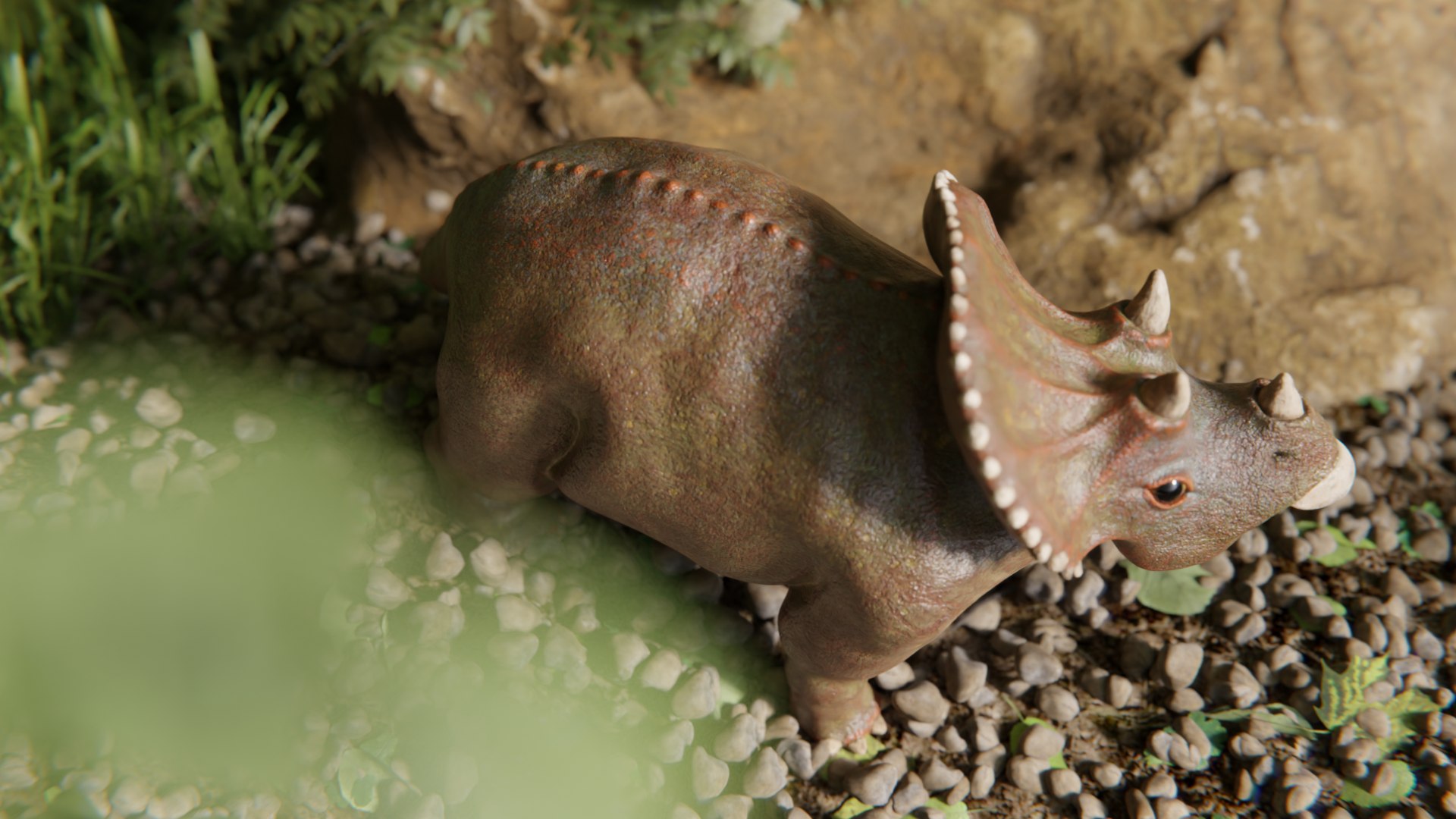 3D Baby Triceratops Model - TurboSquid 1951180