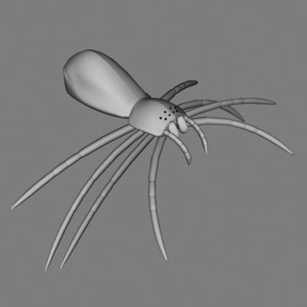 DXF Spider Models | TurboSquid