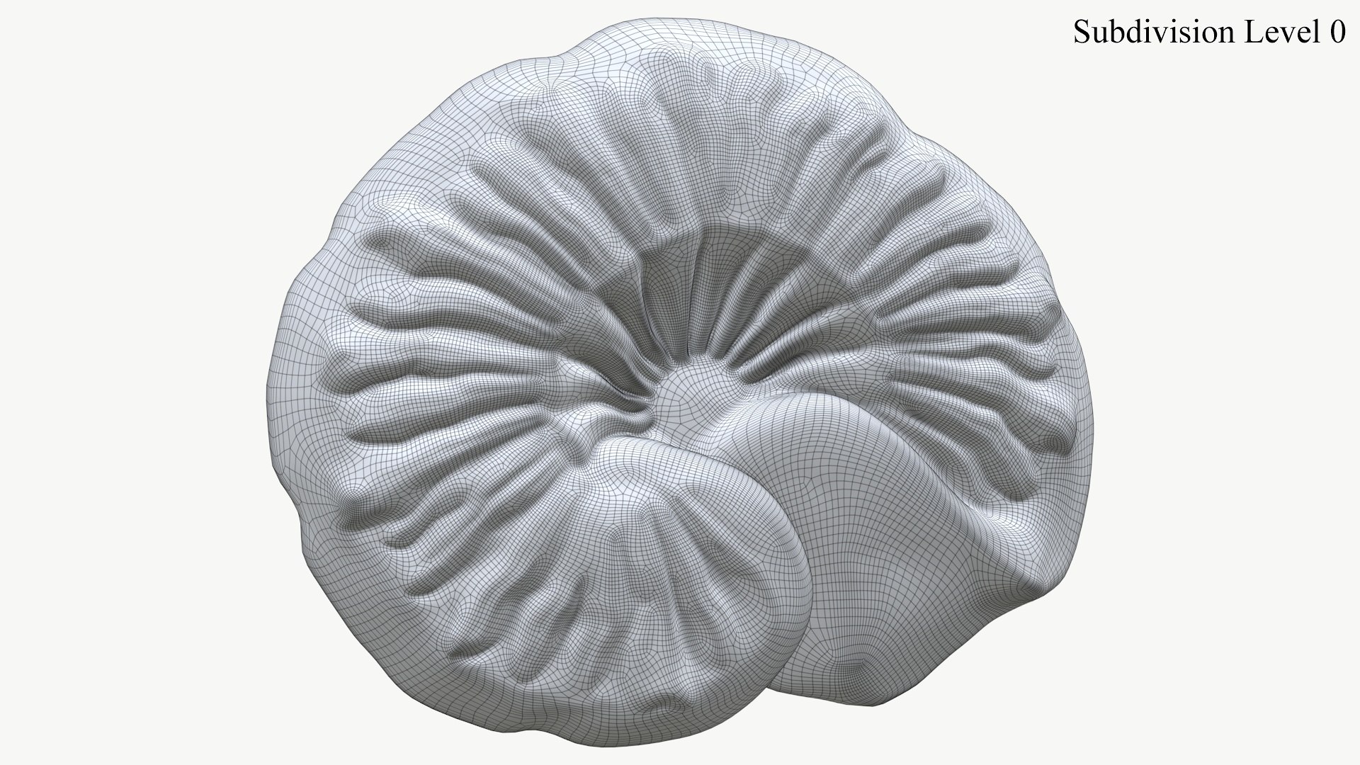 3D Ancient Fossil 2003 Textured - TurboSquid 2299673
