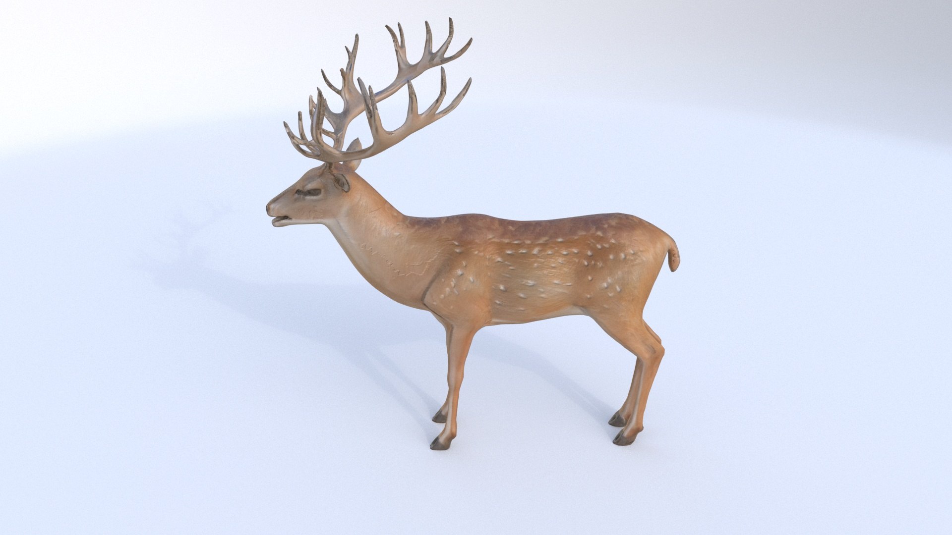 3D Deer 1 Model - TurboSquid 2334987