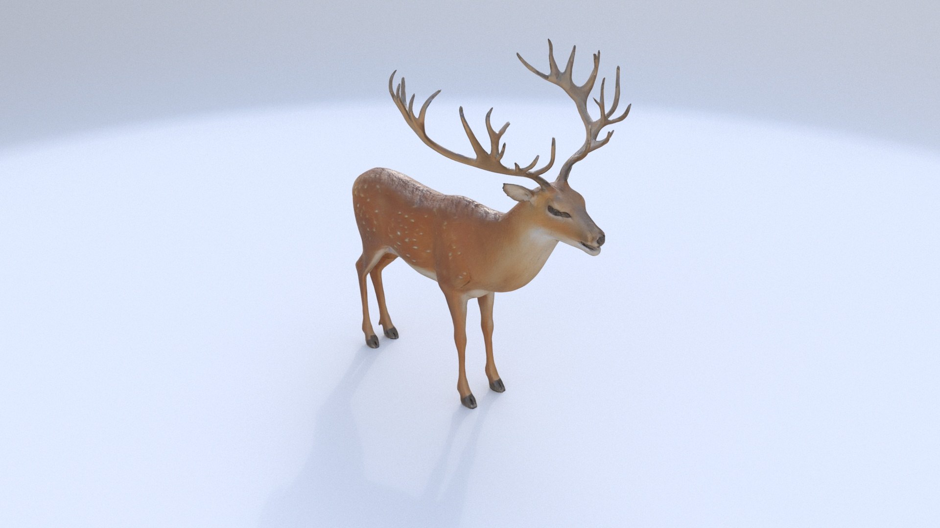 3D Deer 1 Model - TurboSquid 2334987