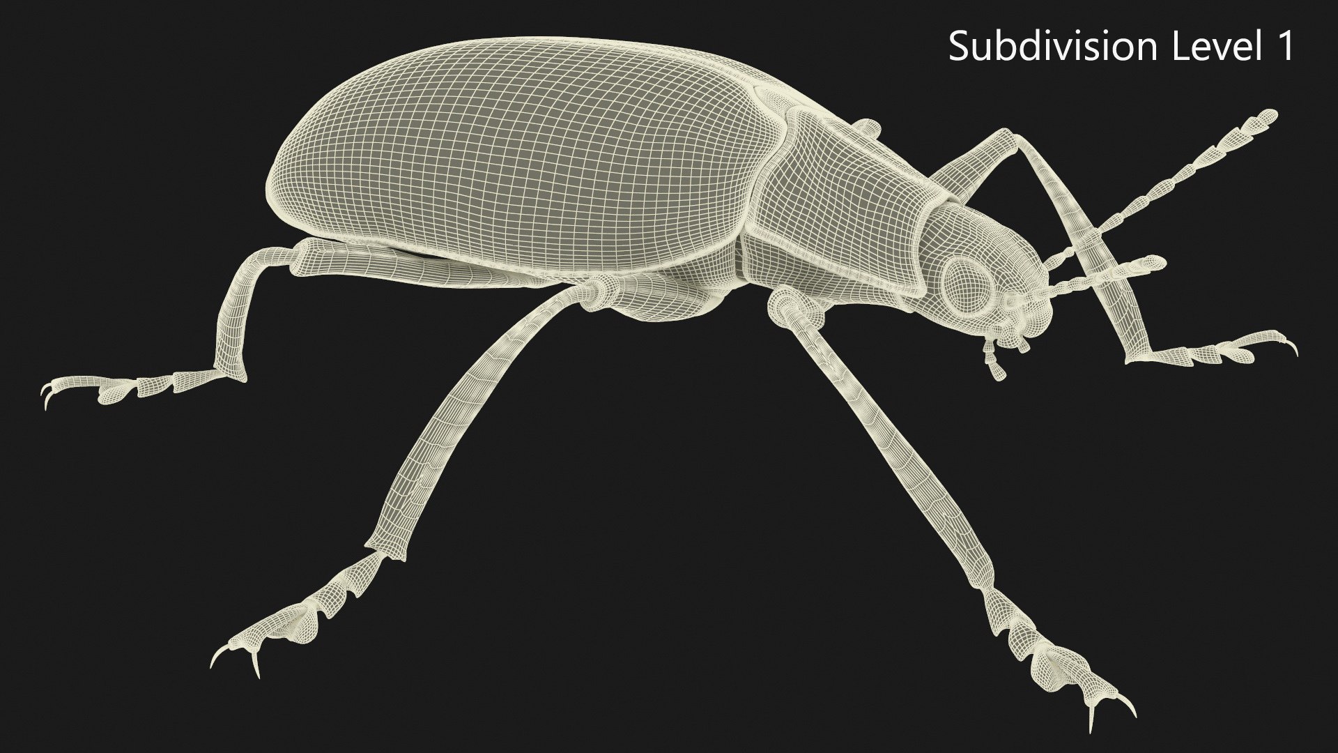 Blue Fungus Beetle 3D Model - TurboSquid 2284106