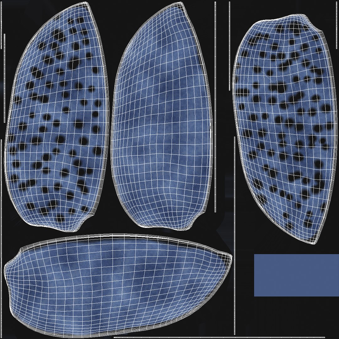 Blue Fungus Beetle 3D Model - TurboSquid 2284106