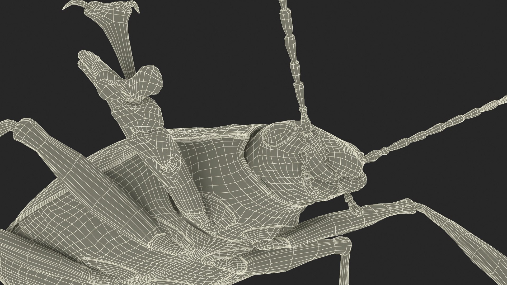 Blue Fungus Beetle 3D Model - TurboSquid 2284106