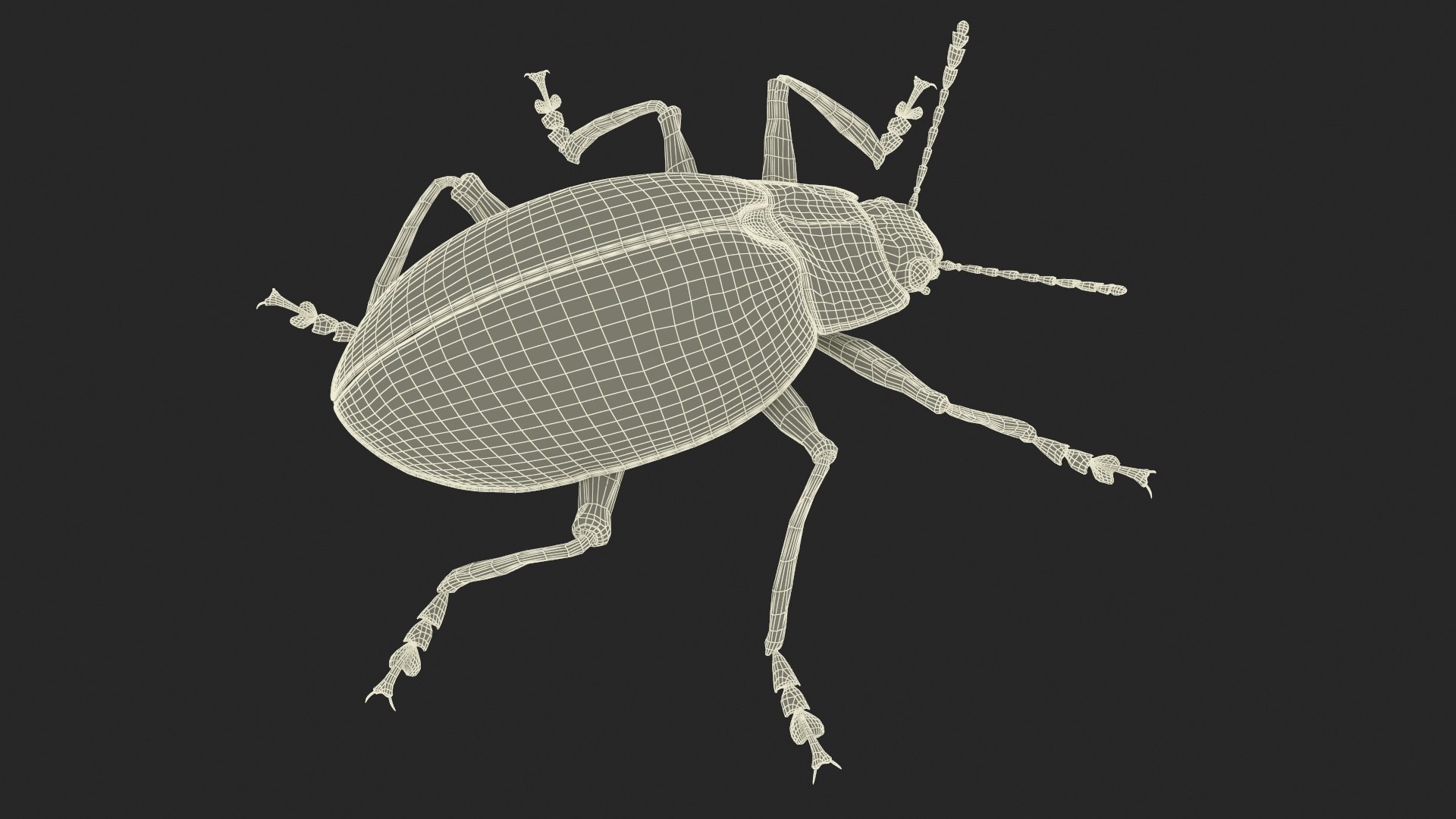 Blue Fungus Beetle 3D Model - TurboSquid 2284106