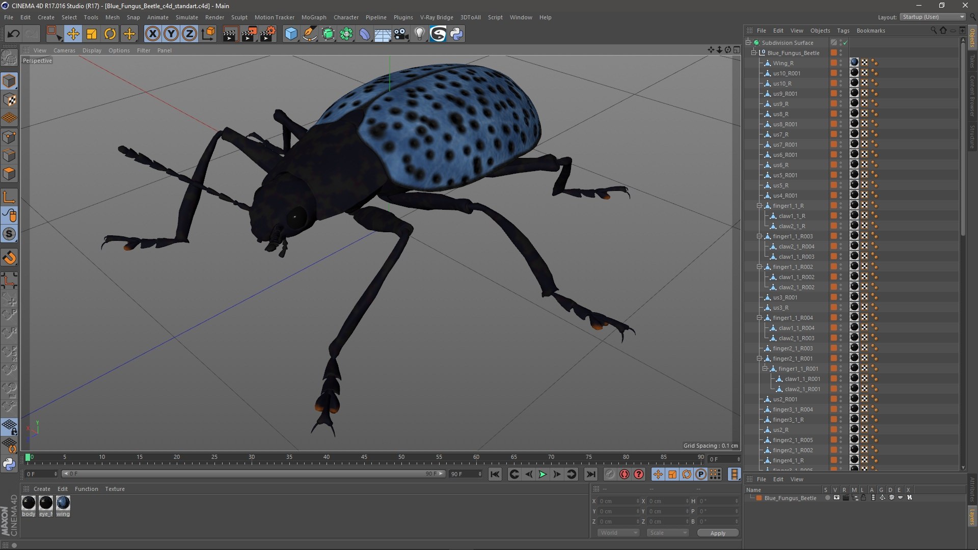 Blue Fungus Beetle 3D Model - TurboSquid 2284106