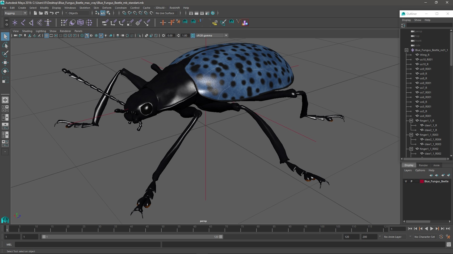 Blue Fungus Beetle 3D Model - TurboSquid 2284106