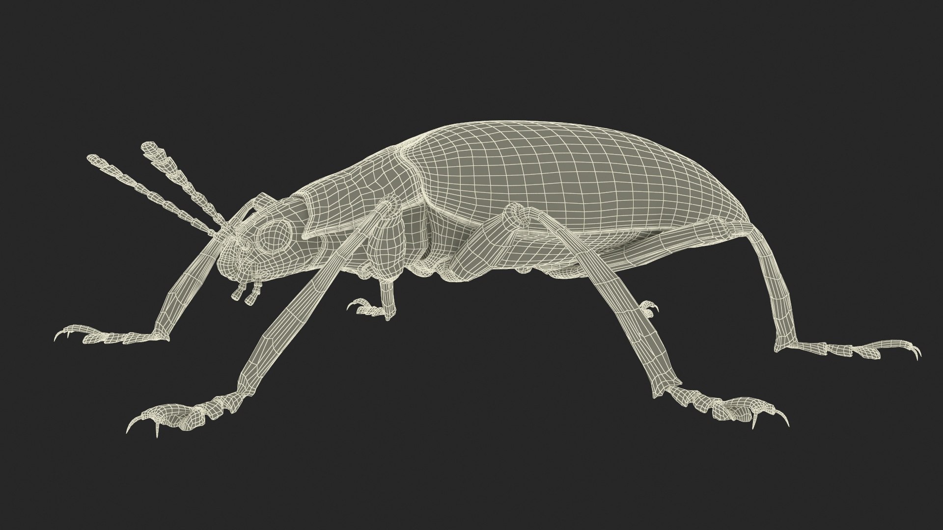 Blue Fungus Beetle 3D Model - TurboSquid 2284106