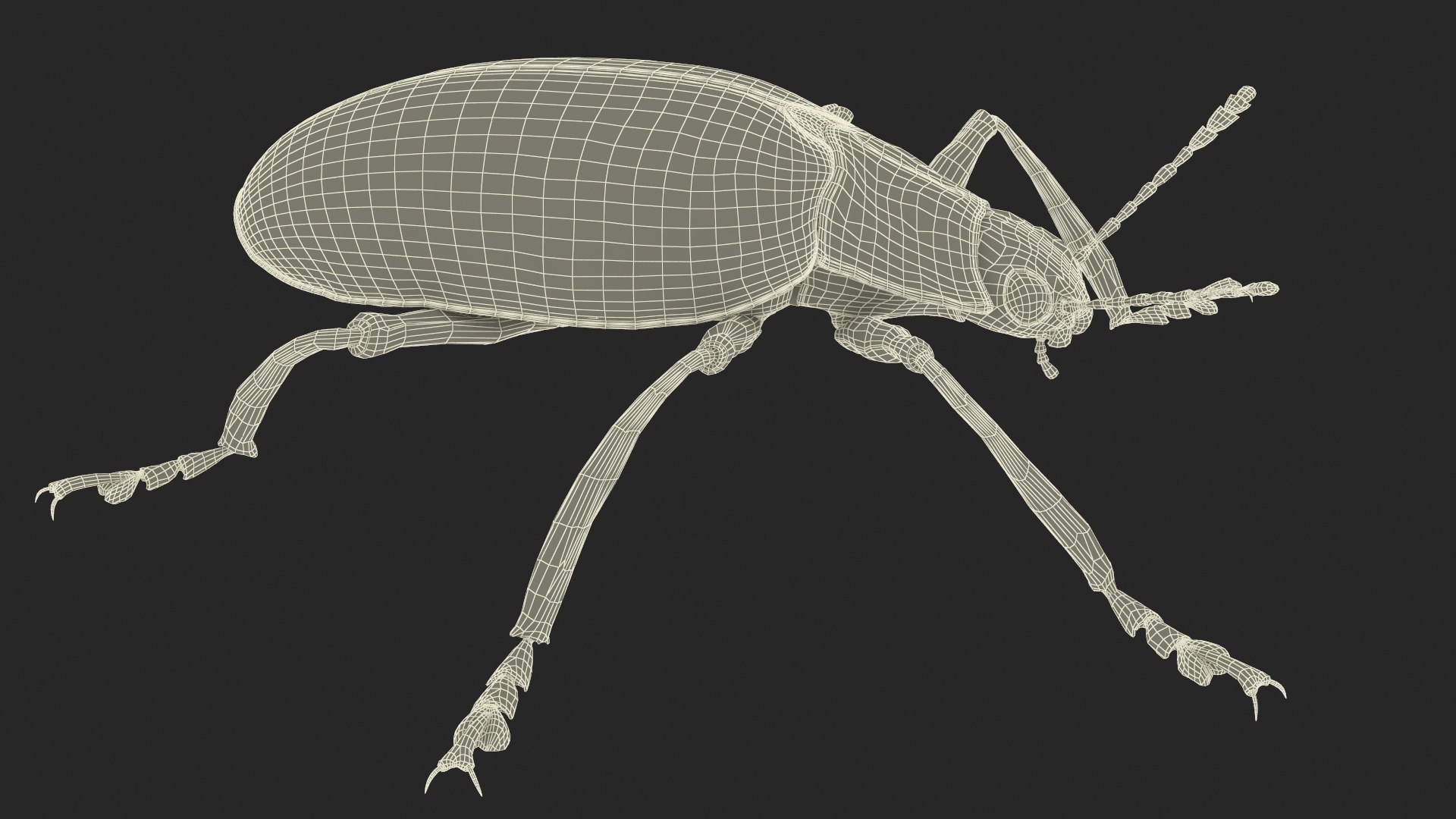 Blue Fungus Beetle 3D Model - TurboSquid 2284106