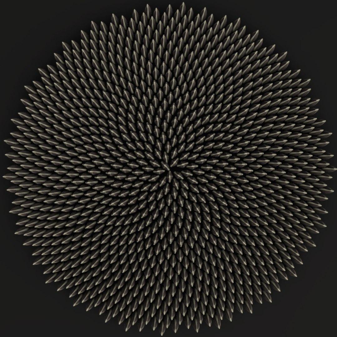 obj sunflower fibonacci sequence seed