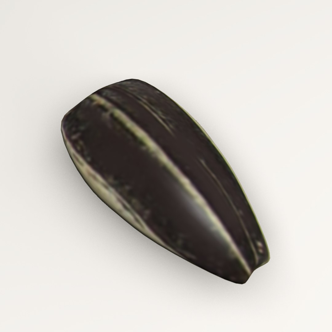 obj sunflower fibonacci sequence seed