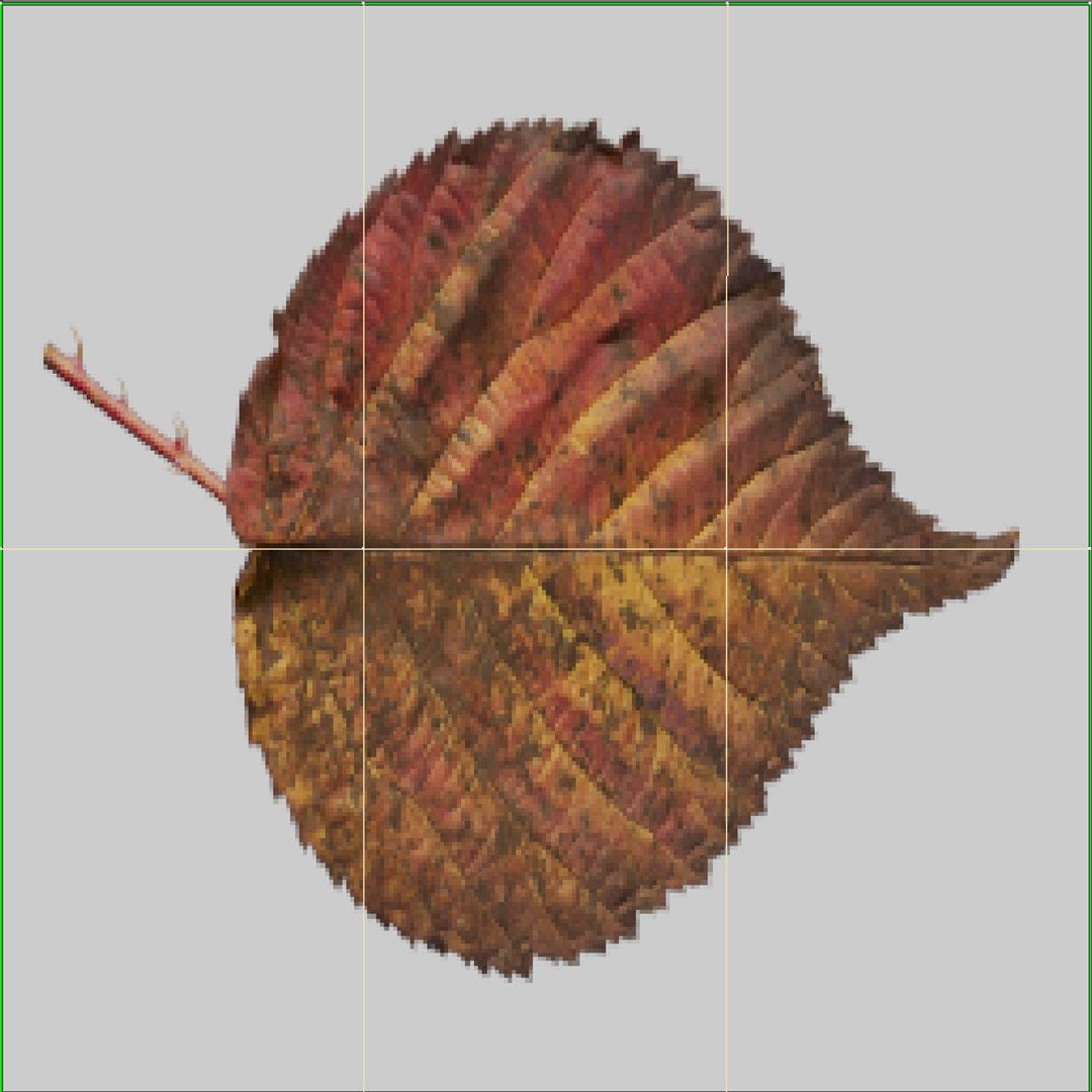 3D Autumn Leaf - TurboSquid 1223058