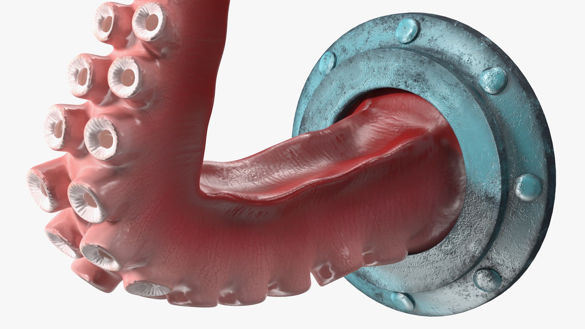 3D Octopus Tentacle Wall Art Sculpture model - TurboSquid 1987233