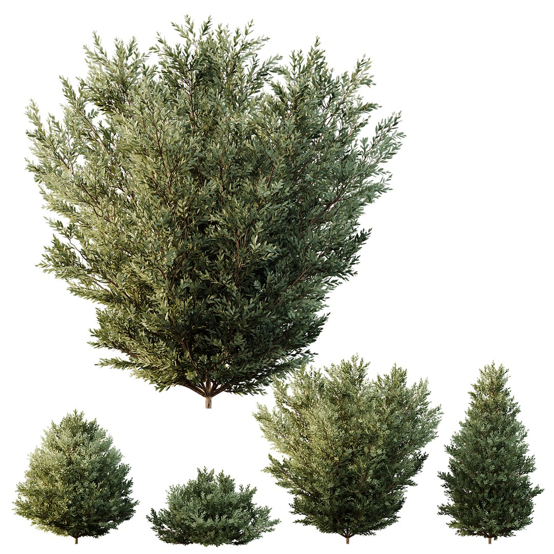 6 Different SETS Of Bush SET VOL18 3D - TurboSquid 2155404