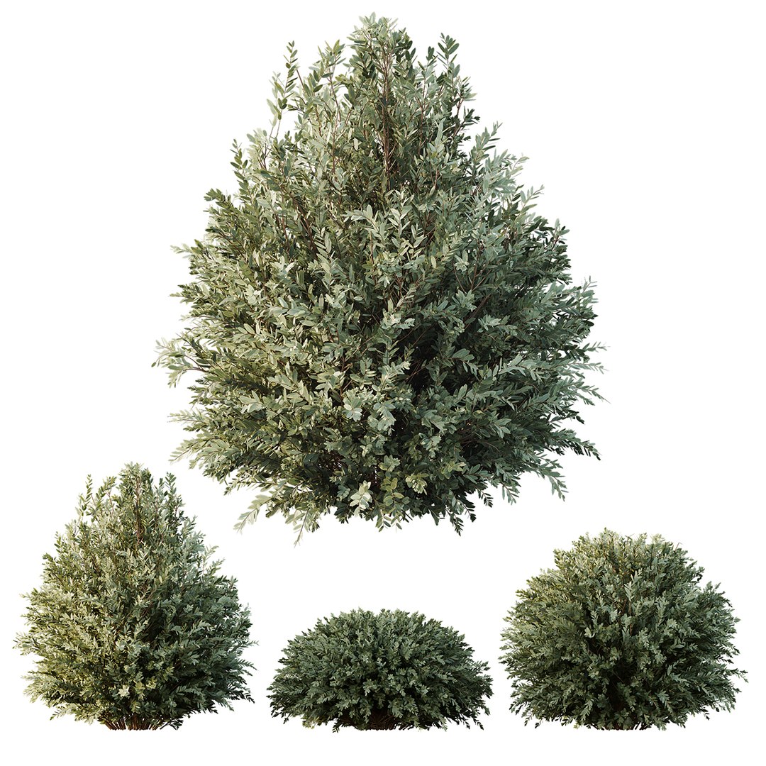 6 Different SETS Of Bush SET VOL18 3D - TurboSquid 2155404