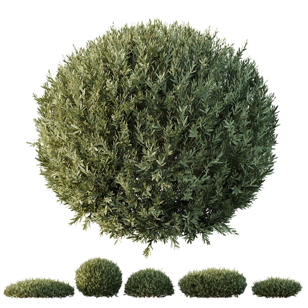 6 Different SETS Of Bush SET VOL18 3D - TurboSquid 2155404