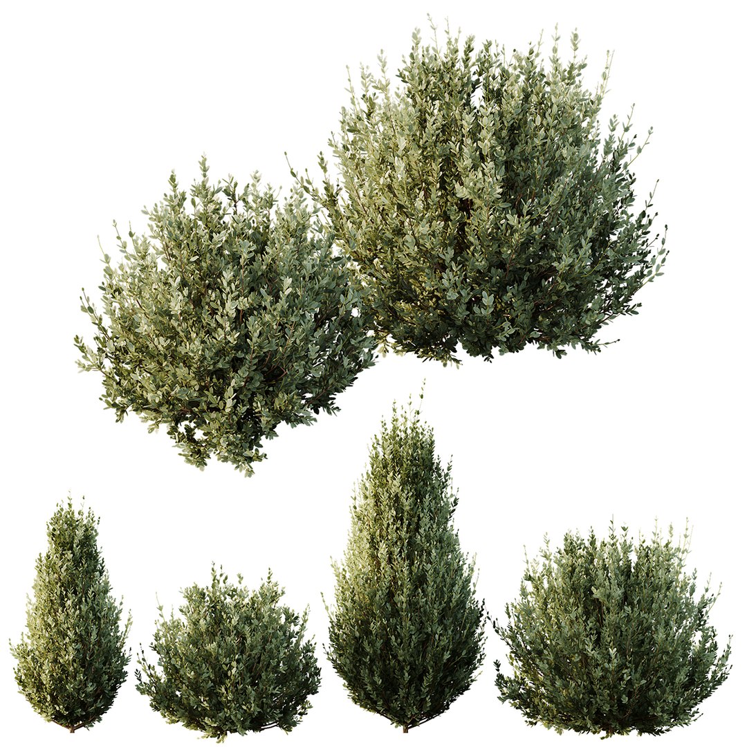 6 Different SETS Of Bush SET VOL18 3D - TurboSquid 2155404
