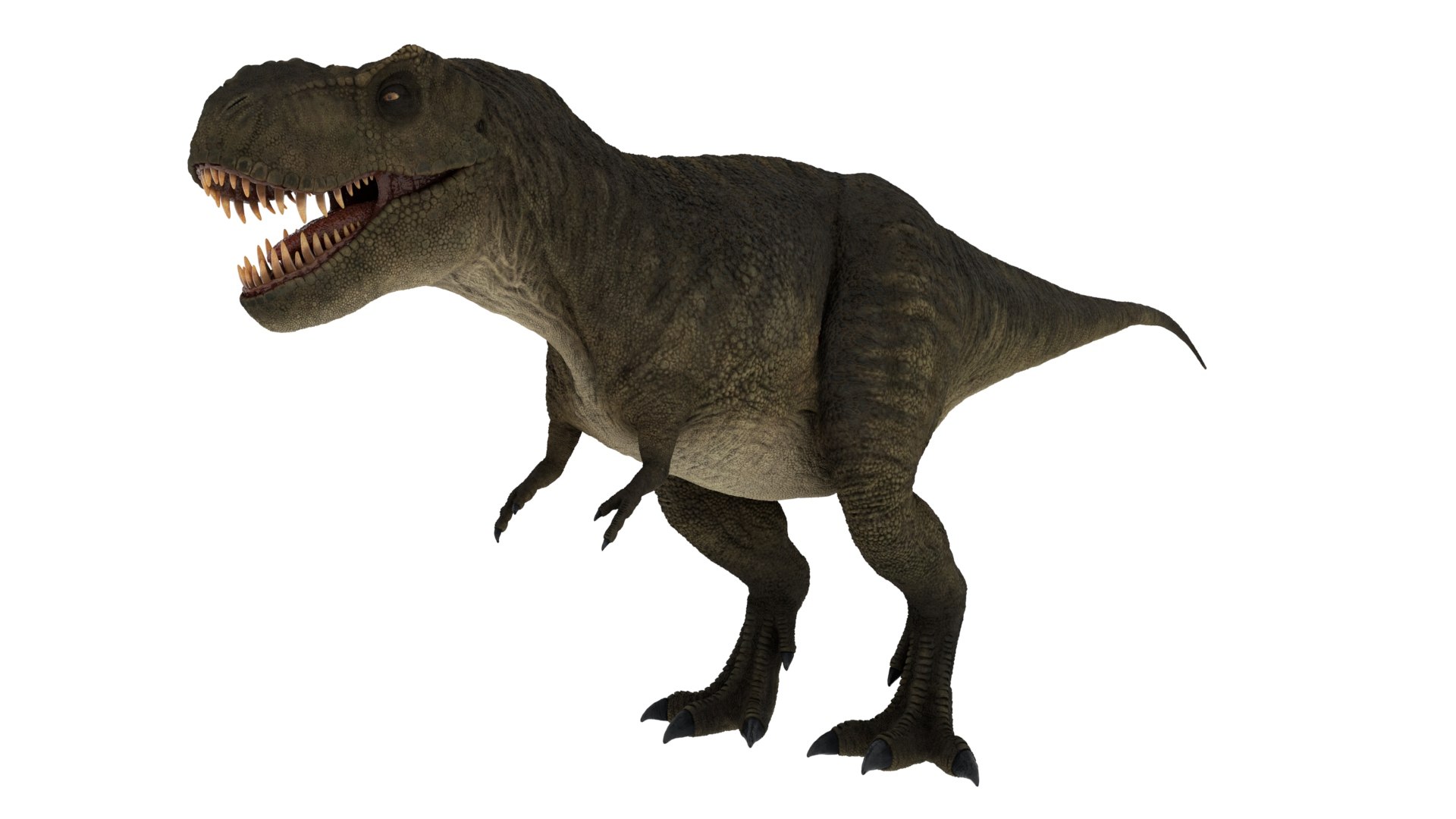 Tyrannosaurus Rex - Realistic Rigged 3D Model - TurboSquid 2094731